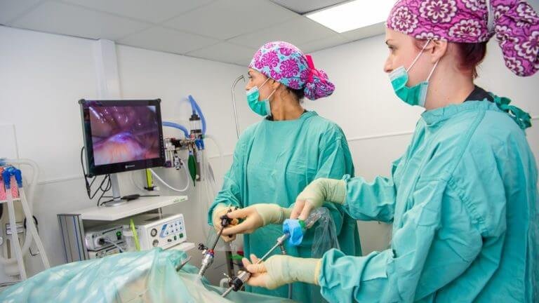 Basics of Hand Surgery: What You Need to Know - Napolean Hospital